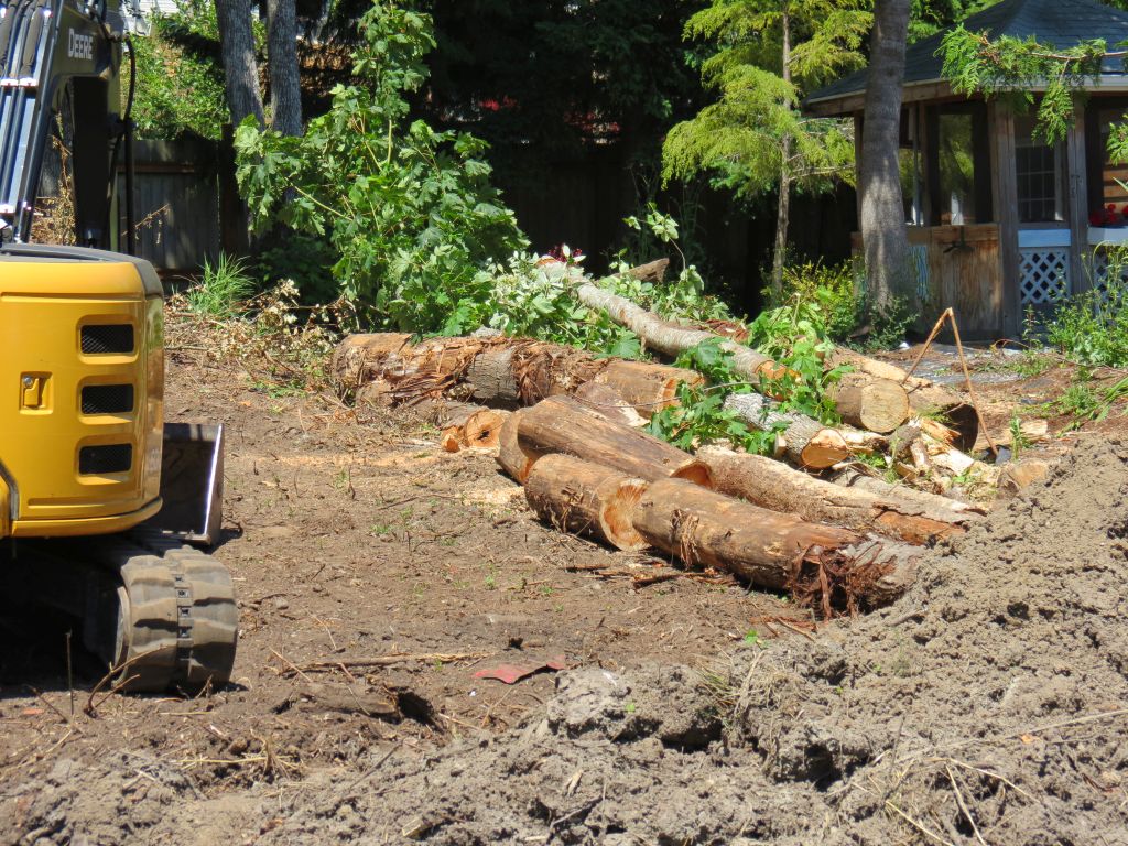 chainsaw injury worksite | Whatcom News