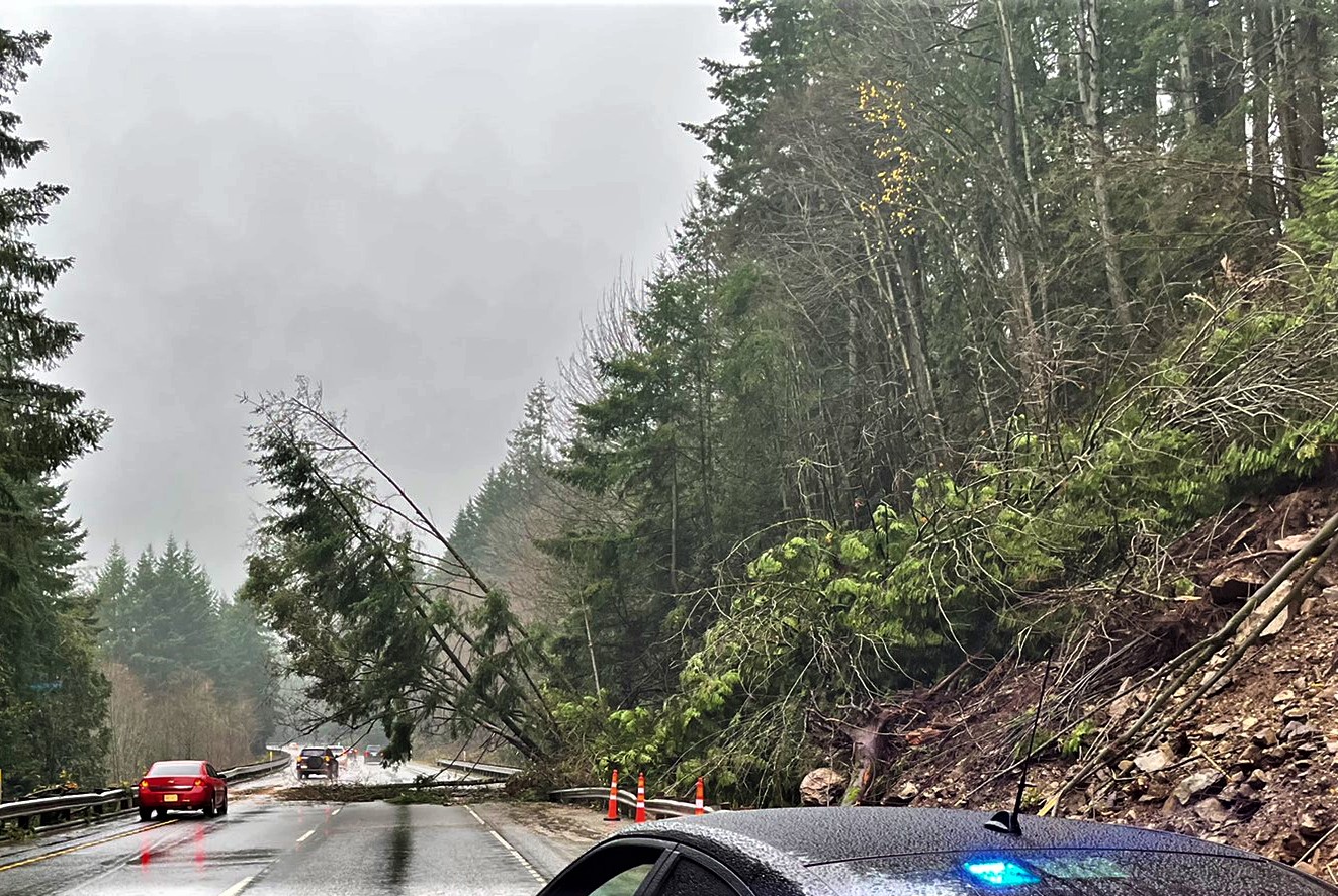 Traffic Alert: Heavy rains bring trees down, cause landslide again on I ...