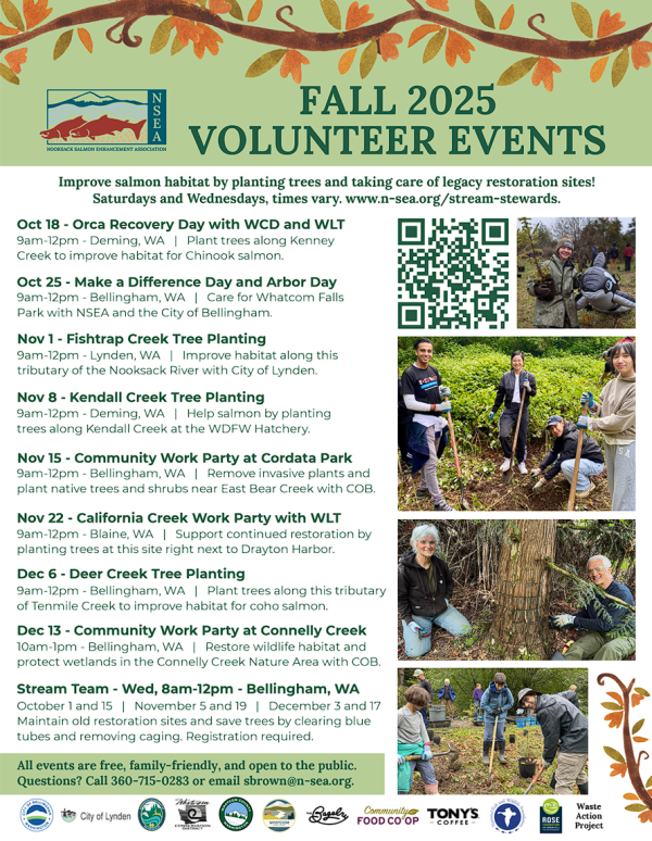 News stories | Whatcom News